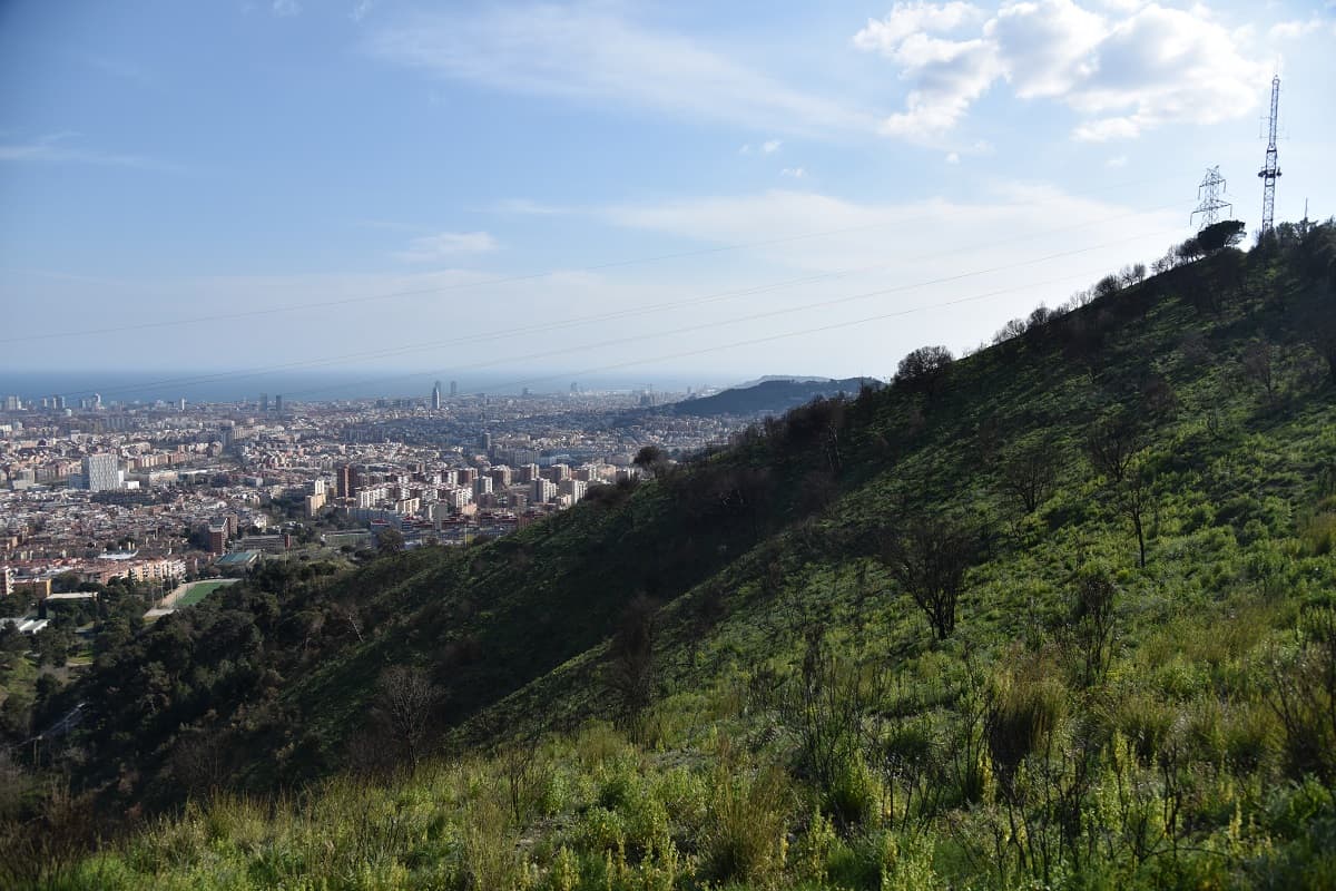 Collserola Hike: Canyelles, Roquetes and Torre Baró - Barcelona Navigator